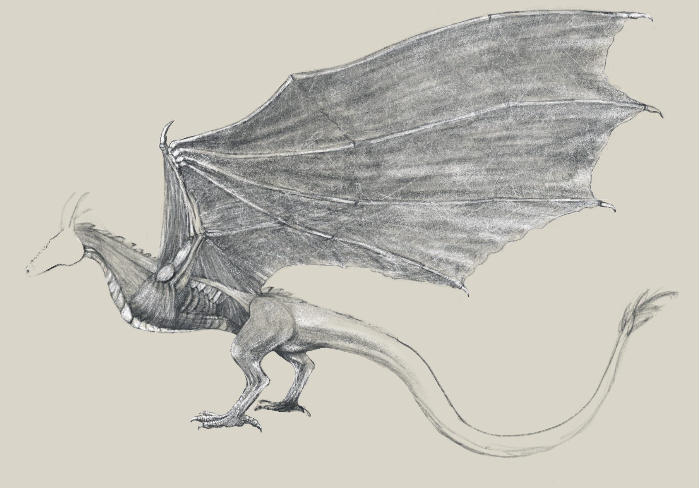 on the wing of a dragon – Croneswood Art